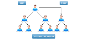 MLM Software Development Company in Salem | MLM Structures