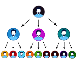 MLM Software Development Company in Salem | MLM Structures